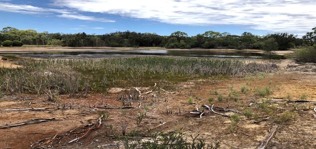 Rehabilitation - Sustainability | Iluka Resources